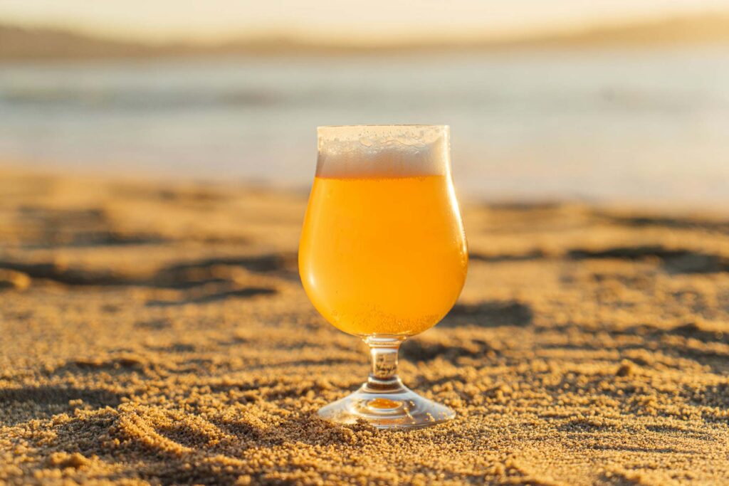 Your Premier Guide to the Best California Craft Beers - The Bonnie Fig